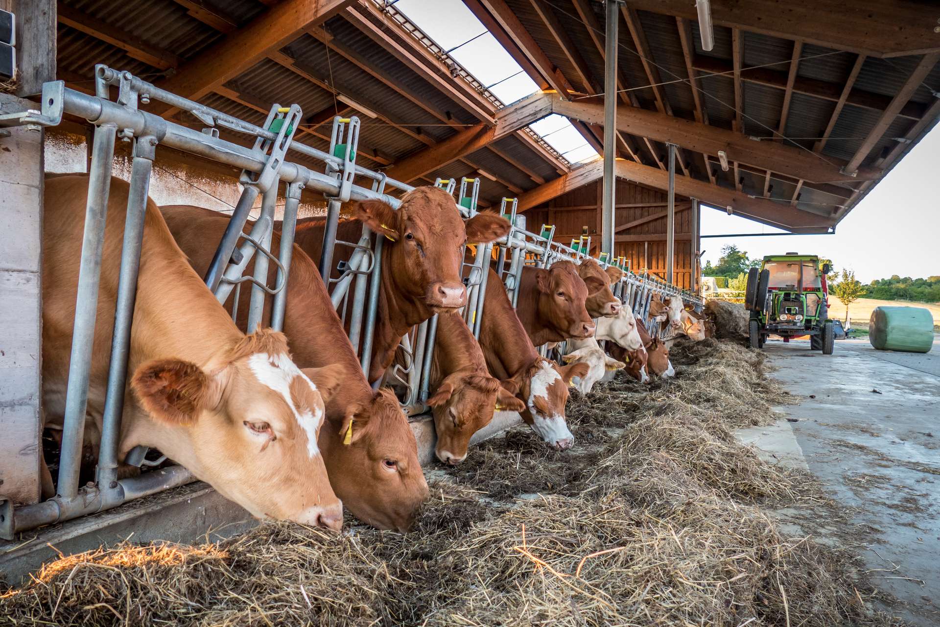 Bauernhöfe mit Nutztierhaltung - Urlaub auf dem Bauernhof